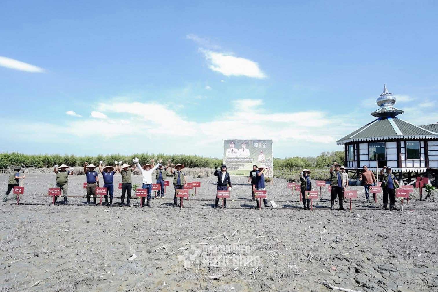 Batu Bara Siap Jadi Paru-Paru Dunia, Mangrove Culture Festival 2025 ...